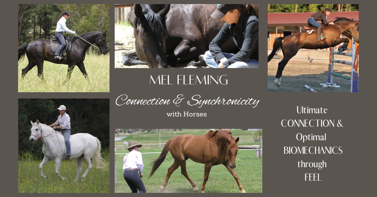 Multi - Level, Open Format Course - Wilton, NSW - March 7-9 - Mel Fleming