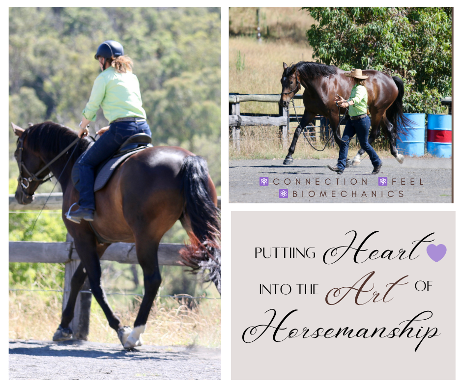 Open Format Multi-Level Course - Wilton, NSW - Nov 12-14 - Mel Fleming